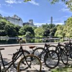 New York City: Best of Central Park Bike Tour - What Makes This Tour Stand Out?