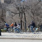 New York City: Central Park Bike Tour - Why Consider This Tour?