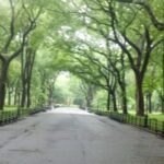 New York City: Central Park Walking Tour - Final Thoughts: Who Will Love This Tour?