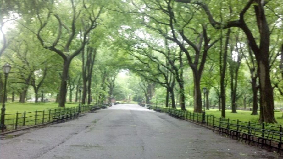 New York City: Central Park Walking Tour - Final Thoughts: Who Will Love This Tour?