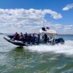 New York City: Harbor Speedboat Tour - The Experience and What It Means for You