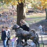 New York City: Pedicab Tour Through Central Park - The Highlights: What Youll Love