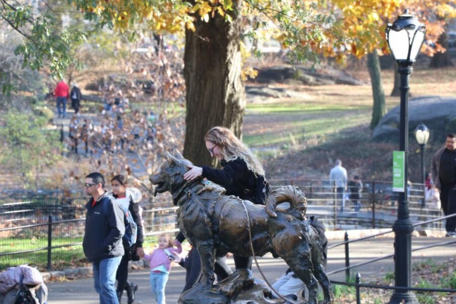 New York City: Pedicab Tour Through Central Park - The Highlights: What Youll Love