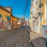 New York City : Private Street Art Walking Tour - Who Will Love This Tour?