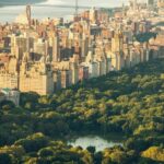 New York Edge Observation Deck & Little Island Pier 55 tour - An Overview of the Tour