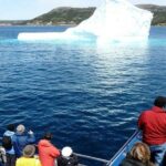 Newfoundland Puffin and Whale Watch Cruise - Who Will Love This Tour?