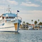 Newport Beach: Christmas Day Buffet Brunch or Dinner Cruise - Who Should Consider This Experience?
