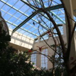 Niagara Falls, Canada: Bird Kingdom Entry Ticket - What Is Bird Kingdom?