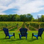 Niagara Falls Day Tour from Toronto (9 Hours) - Scenic Stops and Local Flavors
