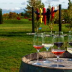 Niagara Falls: Small Group Tour with Wine Tasting and Cruise - Authentic Traveler Insights