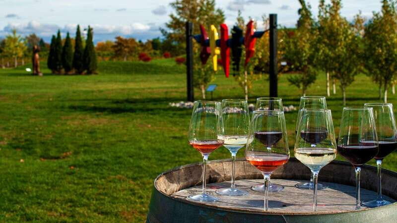Niagara Falls: Small Group Tour with Wine Tasting and Cruise - Authentic Traveler Insights