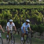 Niagara-on-the-Lake: Bicycle Tour with Wine Tasting - The Experience: What Will You Really Feel?