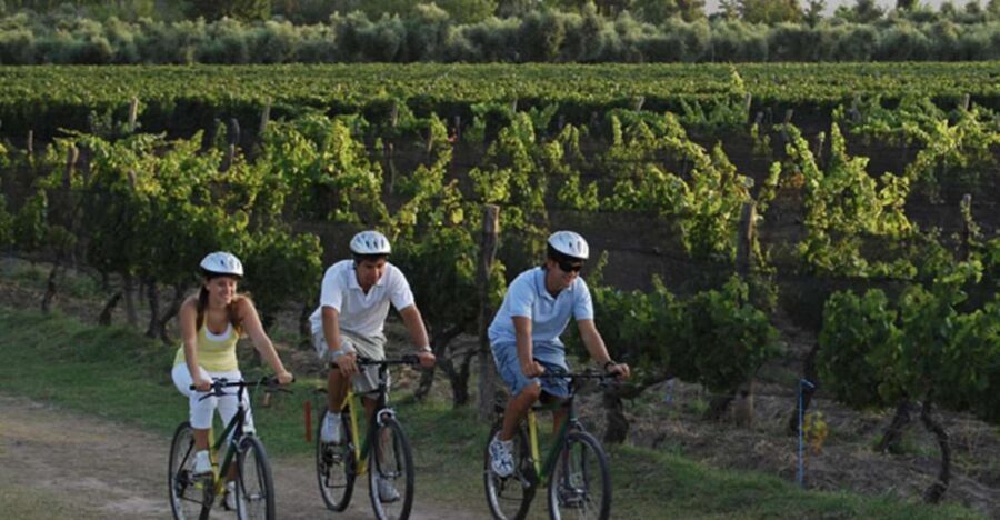 Niagara-on-the-Lake: Bicycle Tour with Wine Tasting - The Experience: What Will You Really Feel?