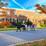 Niagara-on-the-Lake: Guided Walking Tour - Authentic Insights From Real Travelers