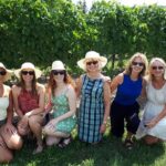 Niagara-on-the-Lake Wine Aft Tour with Cheese from Niagara Falls - Analyzing the Experience: Value, Comfort, and Authenticity