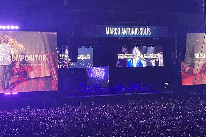 Night of VIP Concert in Mexico City with Private Transfer - The Experience: A Detailed Breakdown