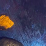 Night time fluorescent Rockhounding Tour - Who Will Love This Tour?