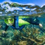 Nizuc Reef Snorkel Experience - Who Should Consider This Tour?