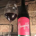 NON BUS GIRLS TRIP Traverse City Old Mission Wine Tour - Final Thoughts