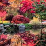 North Atlanta: Gibbs Gardens Self-Guided Slingshot Tour - The Drive Through Georgia’s Countryside