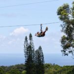 North Maui: 7 Line Zipline Adventure with Ocean Views - The Thrill of the Ziplines: What to Expect