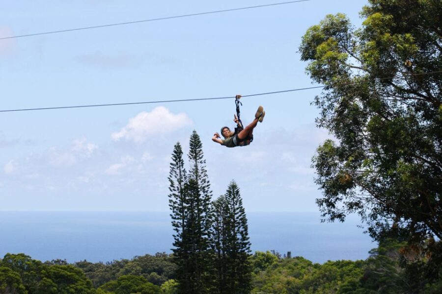 North Maui: 7 Line Zipline Adventure with Ocean Views - The Thrill of the Ziplines: What to Expect