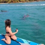 North Miami: Nature & Island Exploration on SUP/Kayak - The Value of the Tour