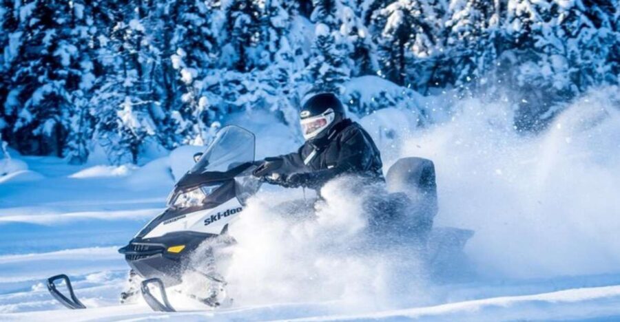 North Pole Alaska: Guided Fairbanks Snowmobile Tour - Who Will Love This Tour?