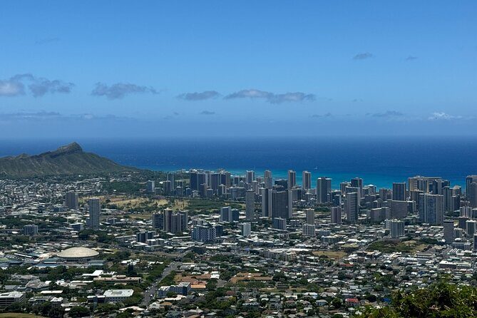 North Shore Excursion Private 7 Hour Tour of Oahu Countryside - What Travelers Say