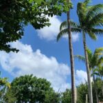North Shore Highlight Tour - A Closer Look at the Itinerary