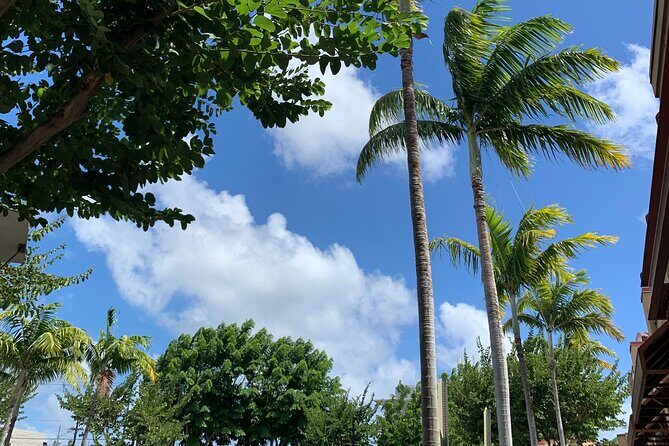 North Shore Highlight Tour - A Closer Look at the Itinerary