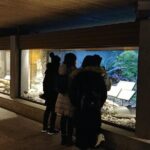 North Vancouver Discovery Private Tour - Authentic Experiences and Authentic Guides