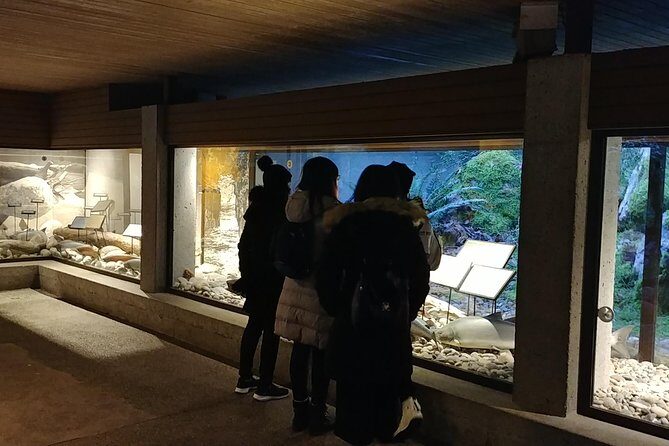 North Vancouver Discovery Private Tour - Authentic Experiences and Authentic Guides