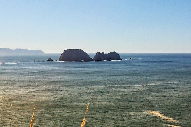 Northern Oregon Coast Day Trip to Three Capes Scenic Loop - What to Expect from the Tour Experience
