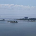 Norwalk: Paddleboard Rental at Calf Pasture Beach - The Experience: More Than Just Paddling