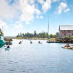 Nova Scotia: Guided Half-Day LaHave Islands Sea Kayak Tour - Wildlife and Beach Breaks