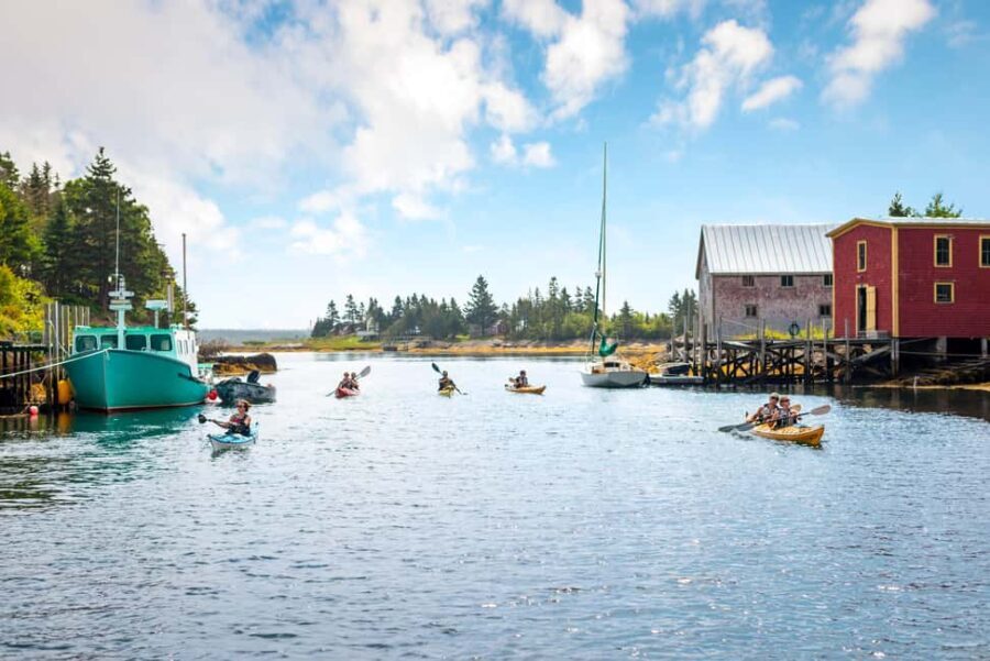 Nova Scotia: Guided Half-Day LaHave Islands Sea Kayak Tour - Wildlife and Beach Breaks