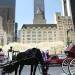 NYC: Central Park Christmas Lights Horse-Drawn Carriage Ride - Why This Ride Offers Good Value