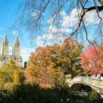 NYC: Central Park Elf & Home Alone Film Spots Pedicab Tour - Who Is This Tour Best For?