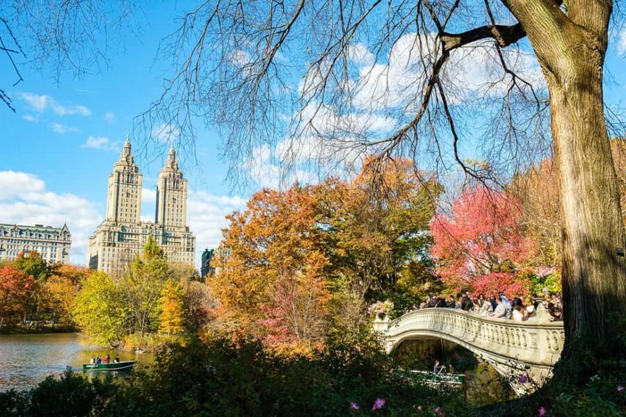 NYC: Central Park Elf & Home Alone Film Spots Pedicab Tour - Who Is This Tour Best For?