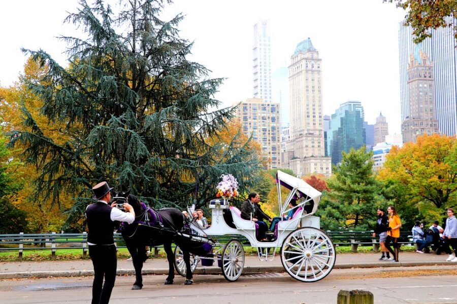 NYC: Central Park Horse-Drawn Carriage Ride (up to 4 Adults) - Authentic Insights from Real Visitors