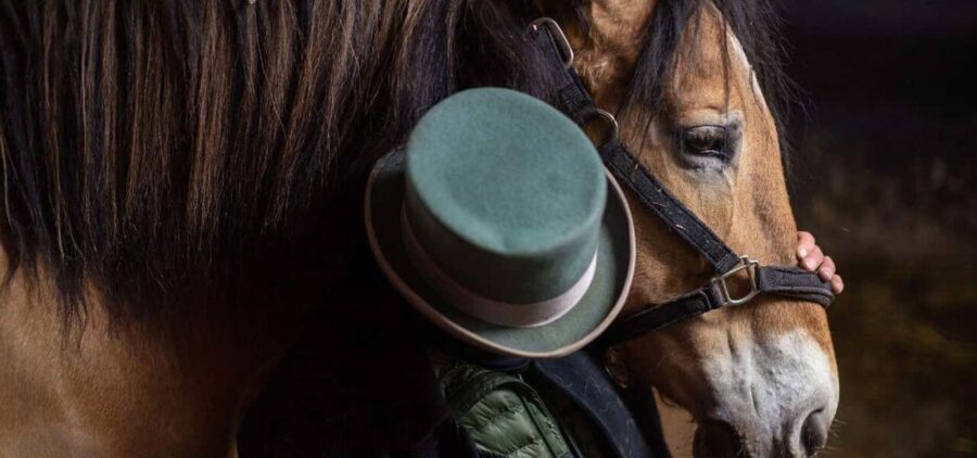 NYC: Central Park Horse-Drawn Carriage Ride - Pricing and Value