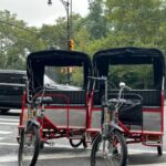 NYC Central Park Pedicab Tours - What to Expect During the Tour
