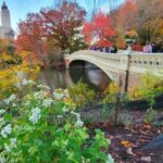 NYC: Central Park Secrets and Highlights Walking Tour - The Itinerary in Detail