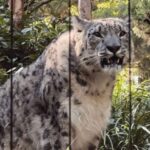 NYC: Central Park Zoo & Central Park Guided Walking Tour - Who This Tour Is Best For