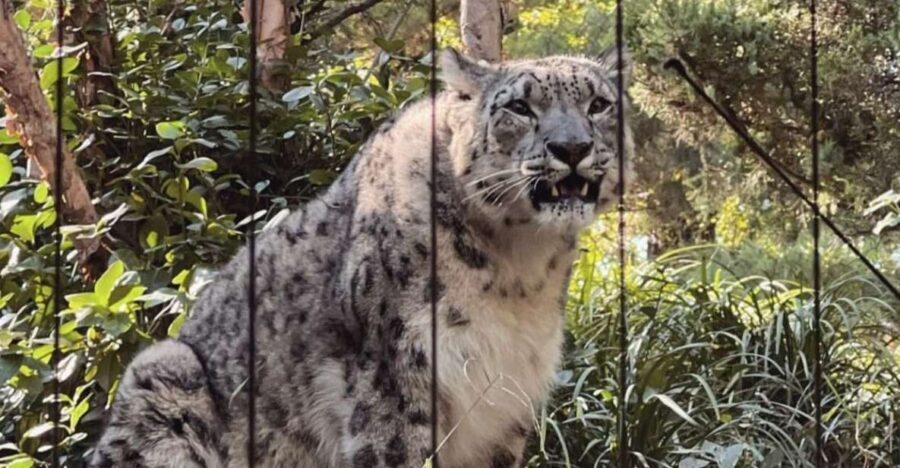 NYC: Central Park Zoo & Central Park Guided Walking Tour - Who This Tour Is Best For