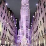 NYC: Christmas Lights Horse Carriage Ride - What’s Included and Practical Details