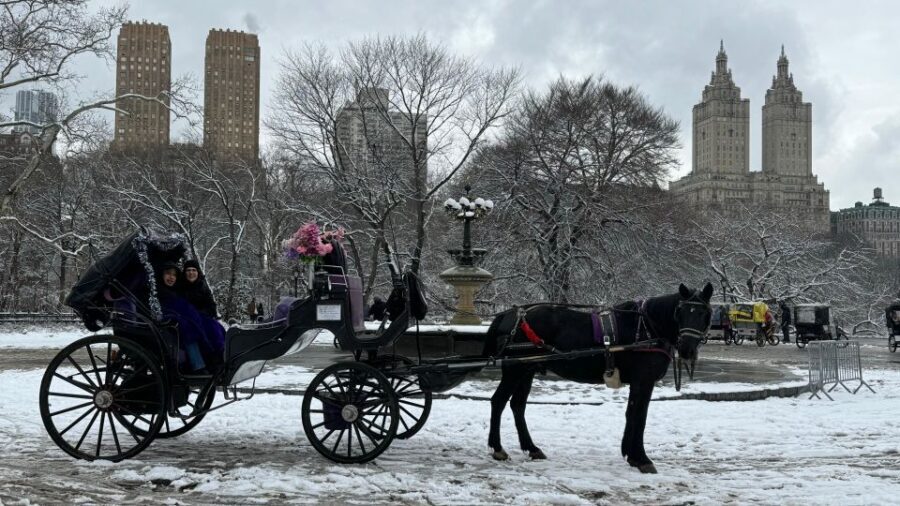 NYC: Empire State Horses Carriage Ride in Central Park - The Practicalities: What You Need to Know