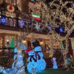 NYC | French guided tour of Christmas in Brooklyn - Value and Pricing