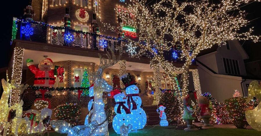 NYC | French guided tour of Christmas in Brooklyn - Value and Pricing